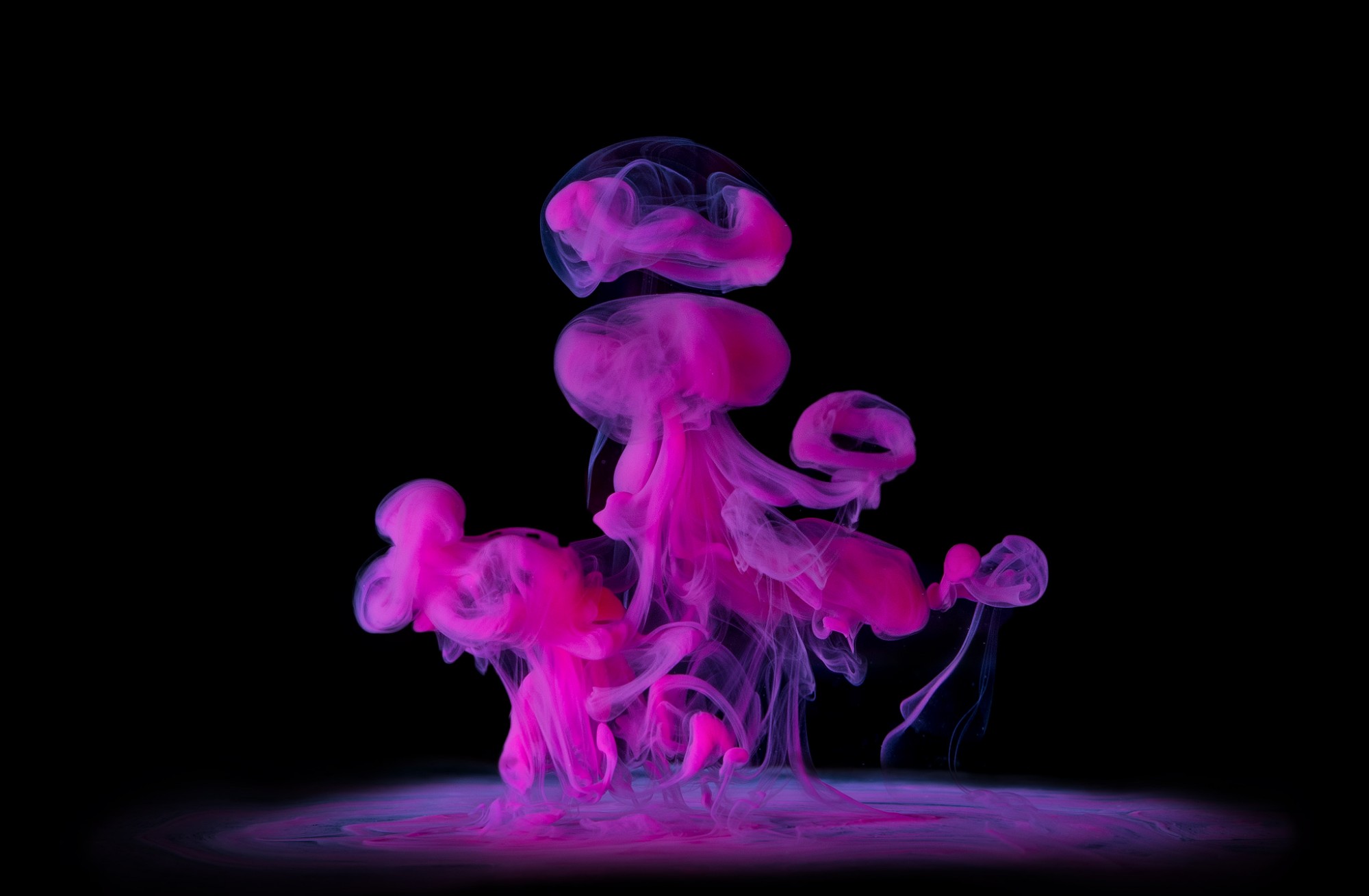 Alex Koloskov - Studio Photography School: Online Courses for Professional Photographers